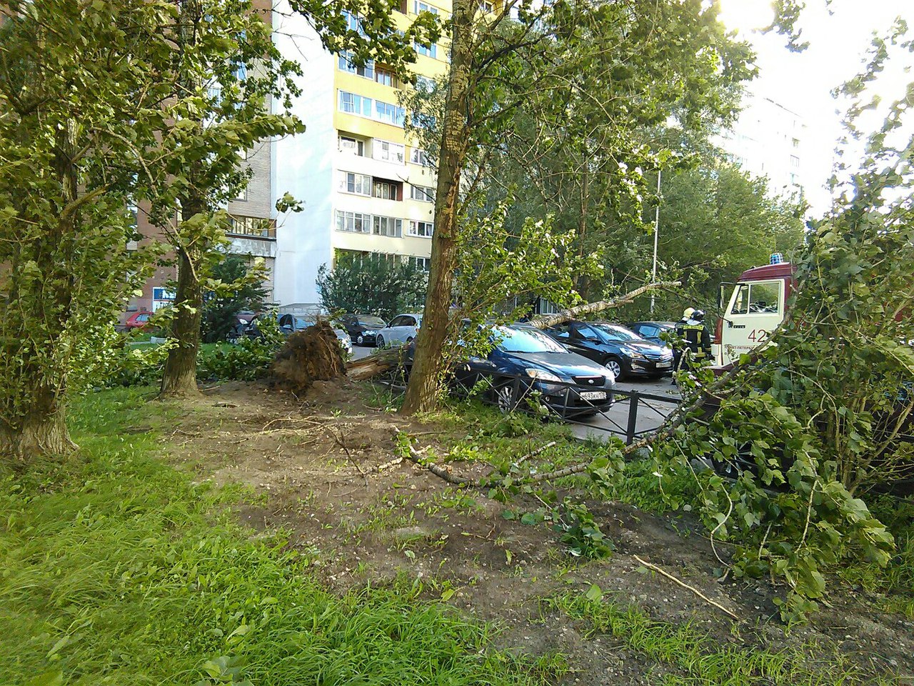 Ночная буря и ее последствия в Петербурге — в фотографиях и видео. «Бумага»