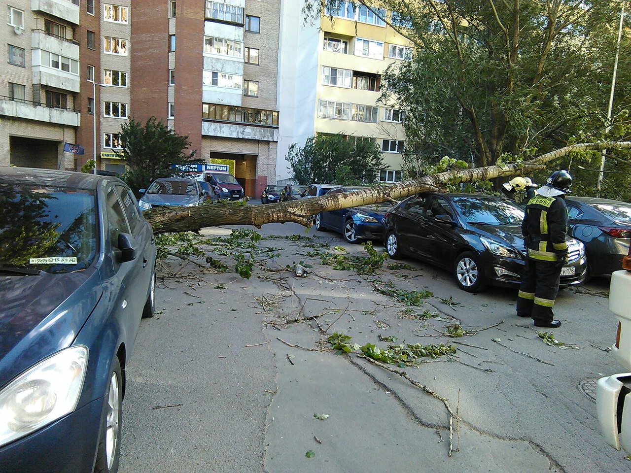 Ночная буря и ее последствия в Петербурге — в фотографиях и видео. «Бумага»
